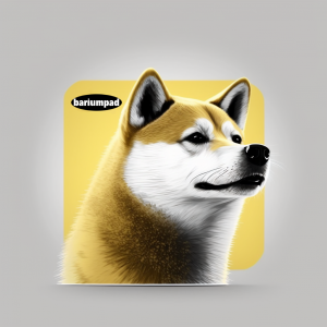 Barium Pad | SolidProof TrustNet