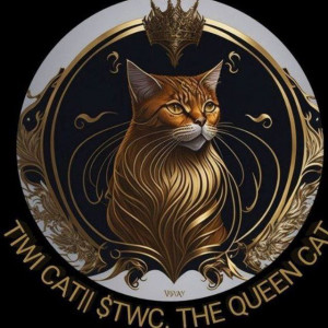 Tiwi Cat | SolidProof TrustNet