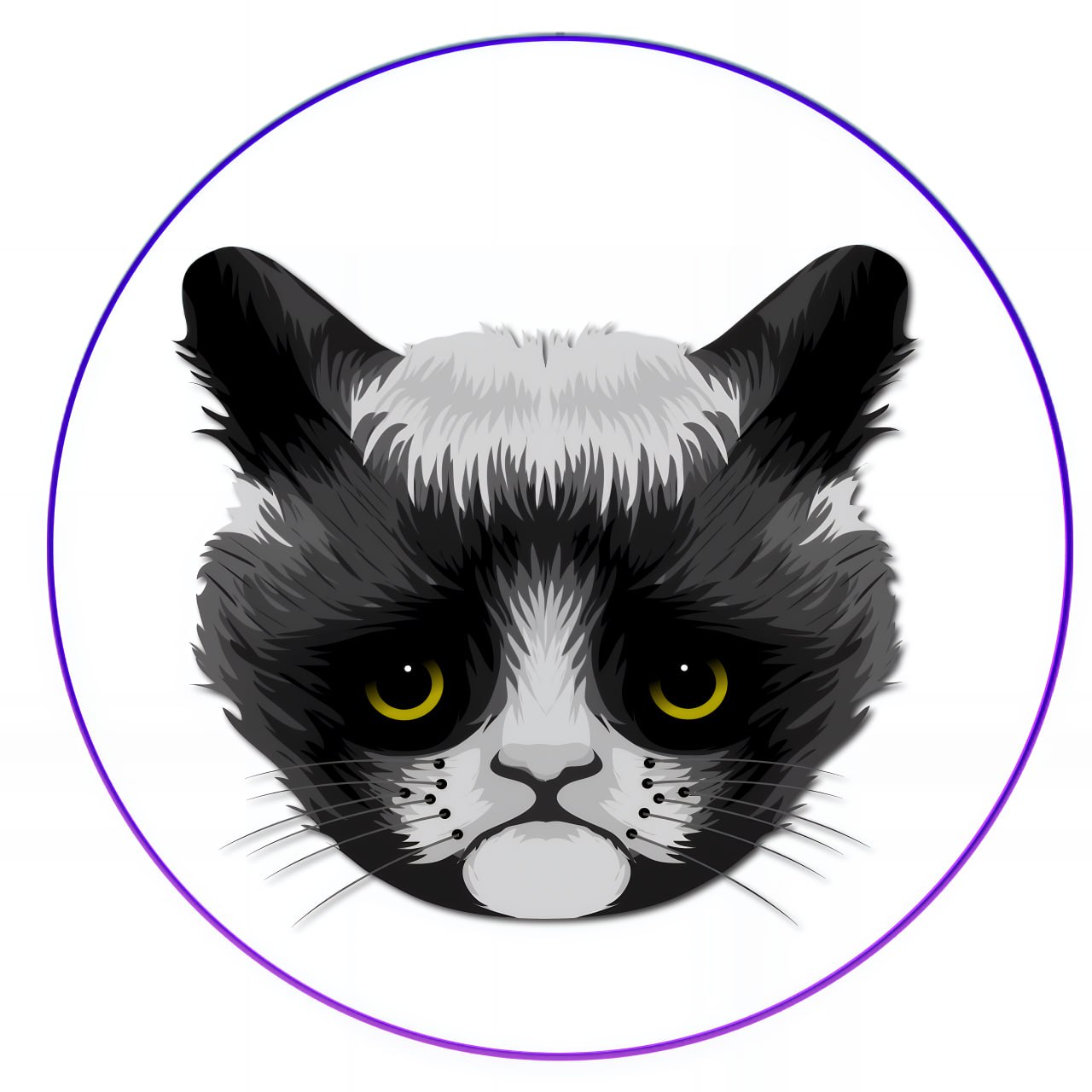 Panfur Coin | SolidProof TrustNet