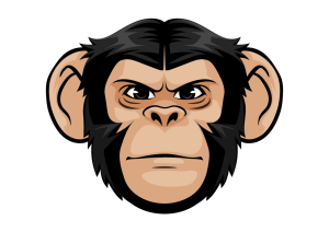 Chimpz | SolidProof TrustNet